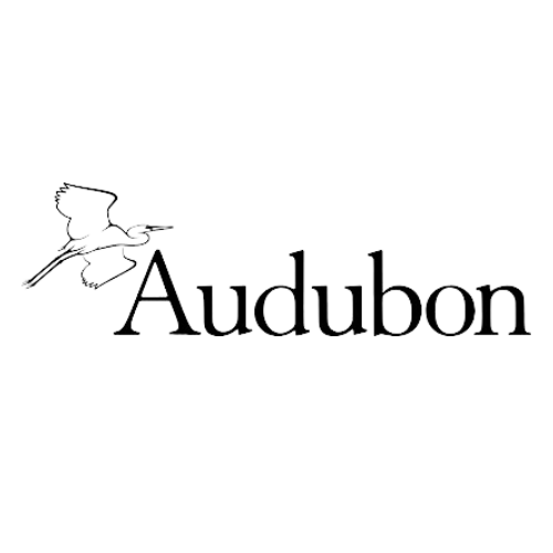 VODIUM - Your Virtual Podium