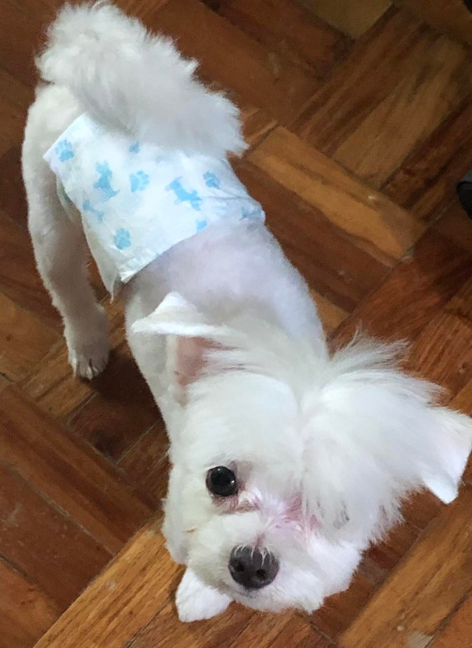 How to Ace a Zoom Interview: Tips, Tricks, and Things to Avoid